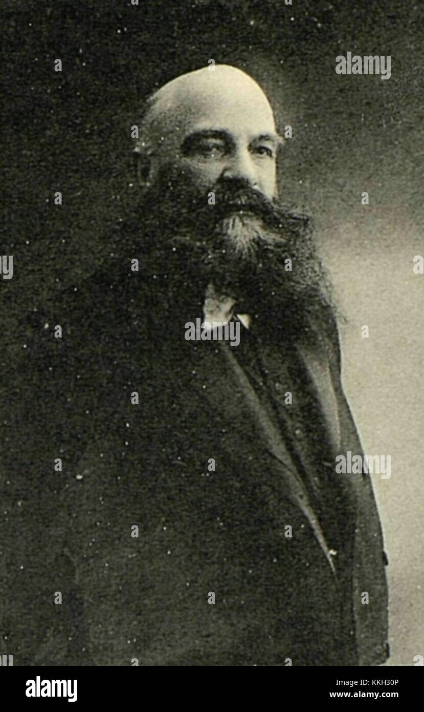 Fox belyaev hi-res stock photography and images - Alamy