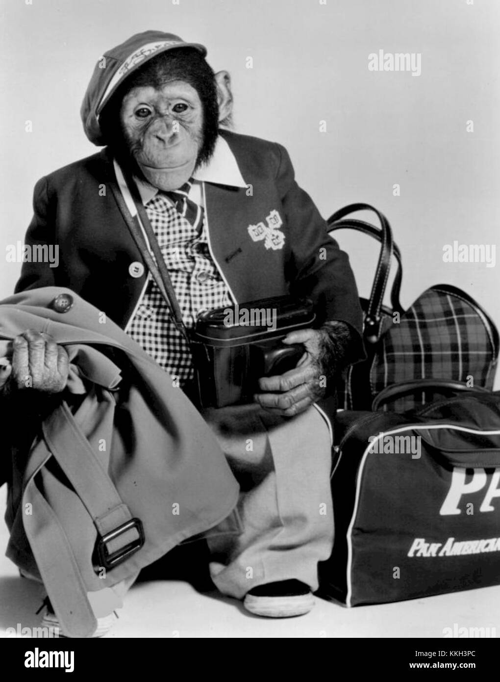 J. Fred Muggs, the famous chimpanzee, appeared on NBCâ€™s Today Show in ...