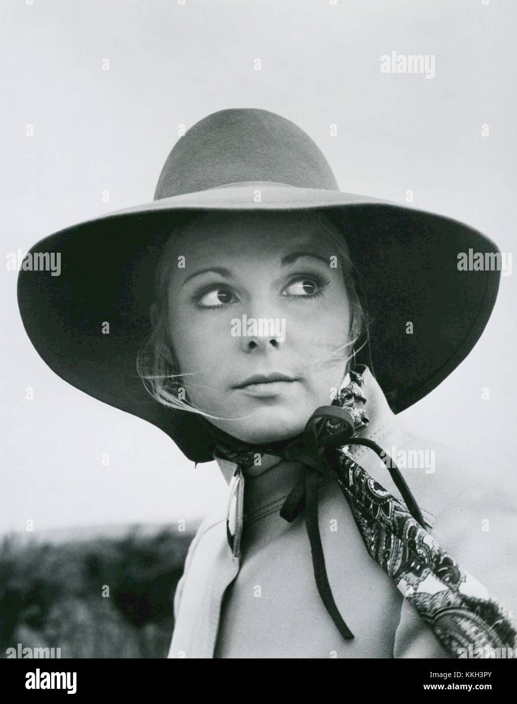 Susan saint james hi-res stock photography and images - Alamy