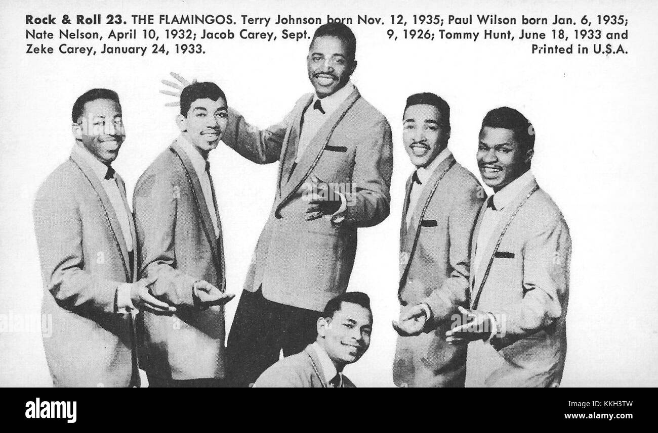 Flamingos on rock hi-res stock photography and images - Alamy