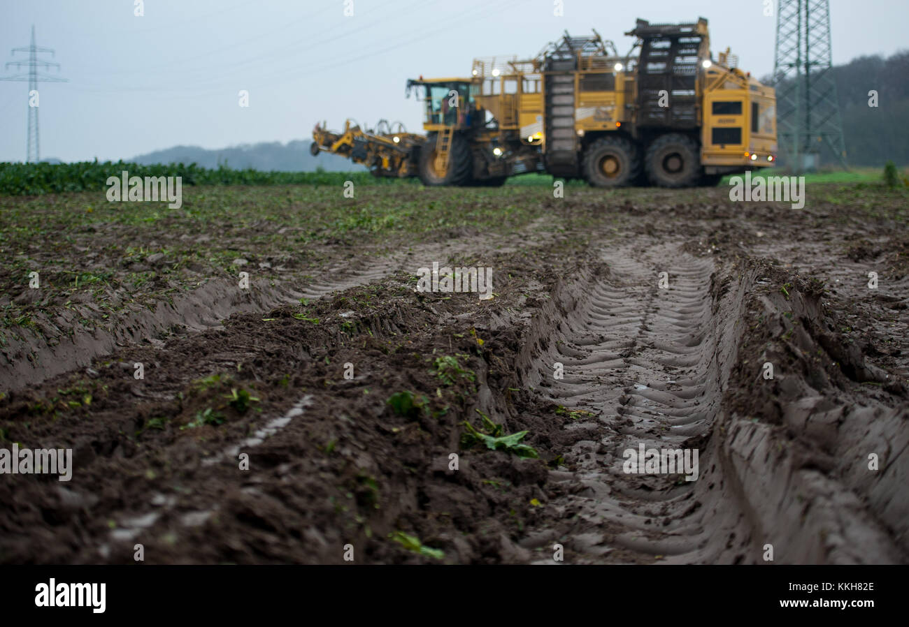 Mud ruts hi-res stock photography and images - Alamy