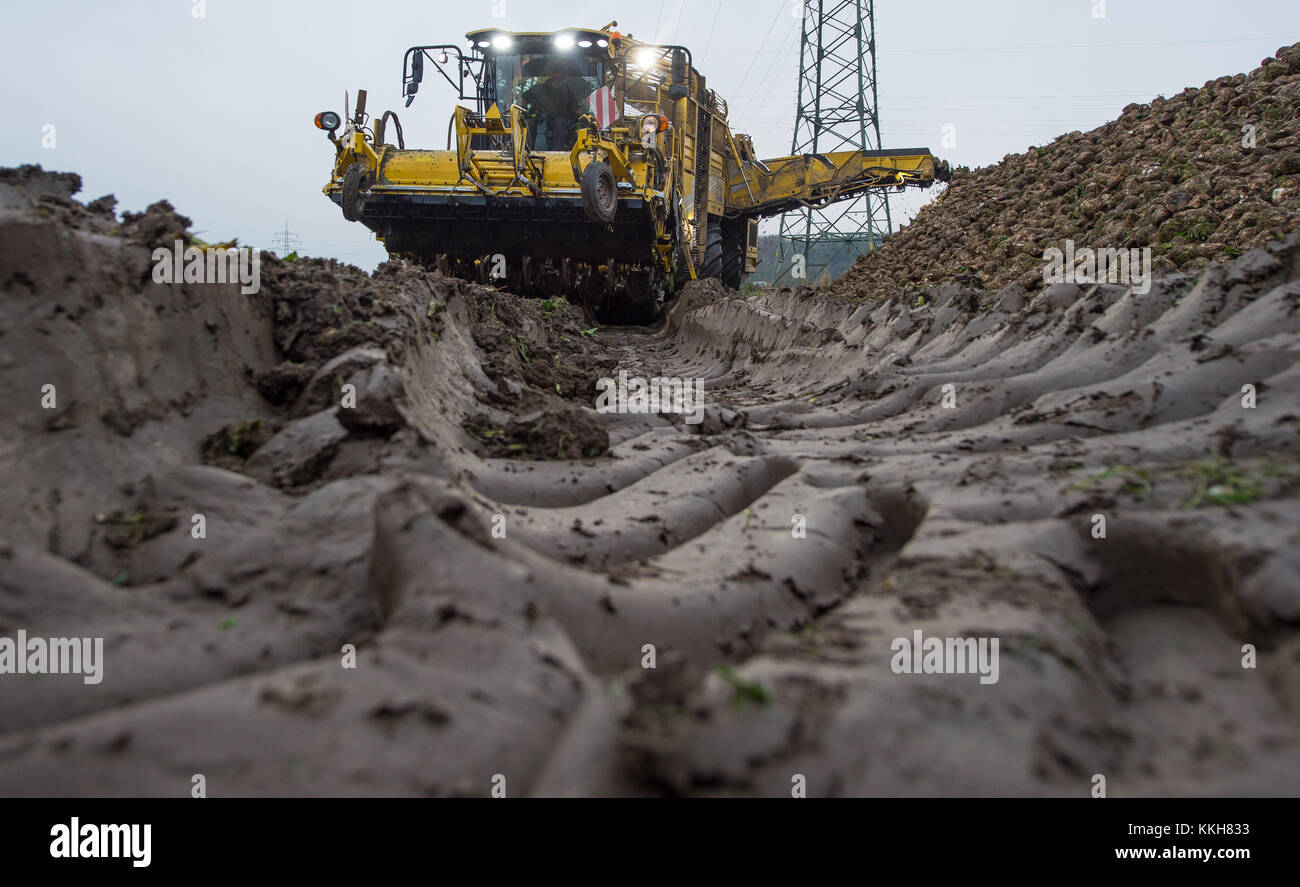 Mud ruts hi-res stock photography and images - Alamy