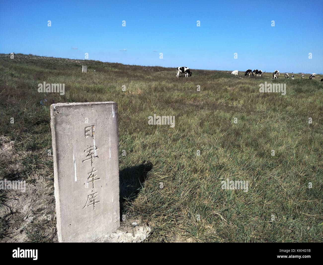 731 harbin hi-res stock photography and images - Alamy