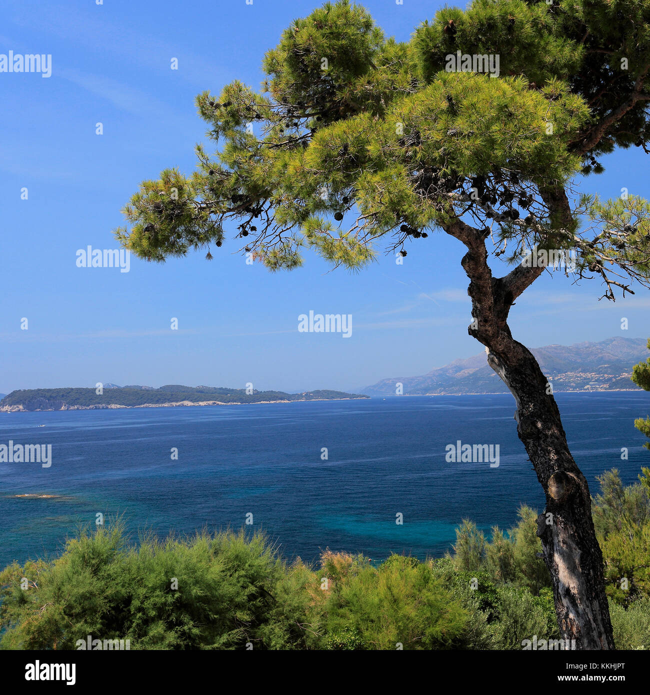 Summer view over Lapad Bay beach, Lapad town, Dubrovnik, Dalmatian ...