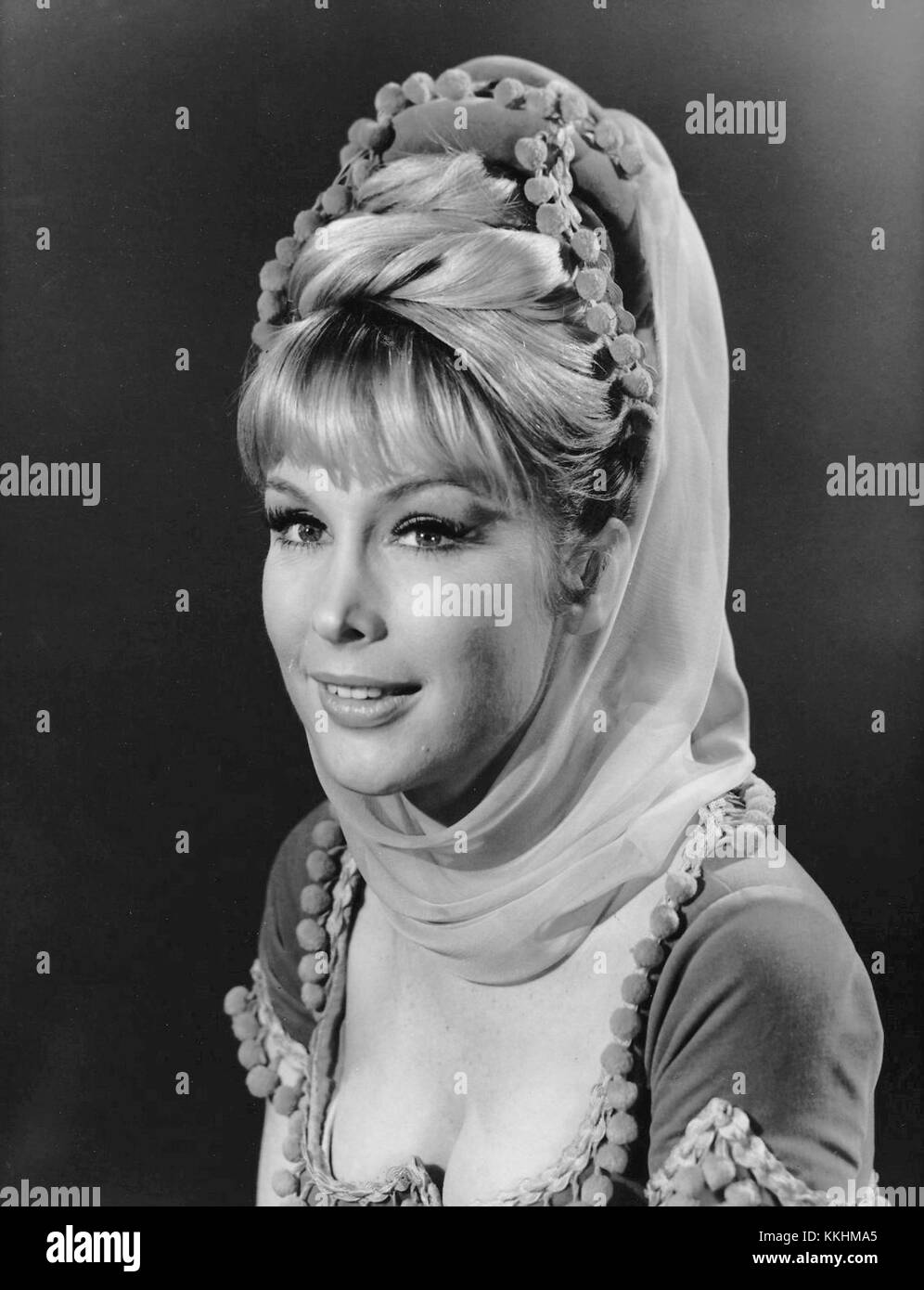 Barbara Eden Pin Up