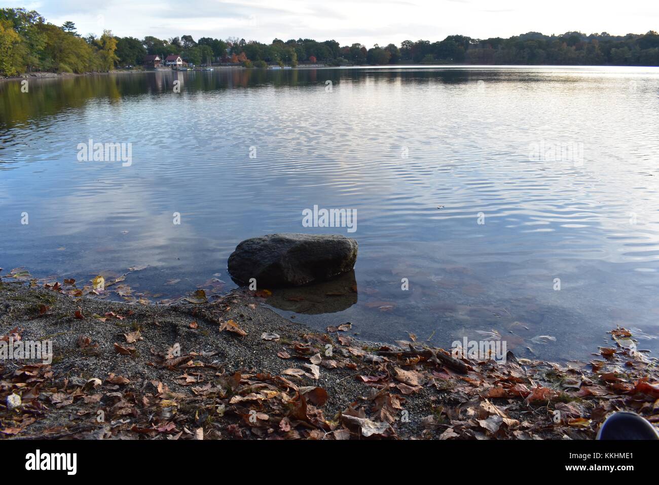 Single rock along the shore Stock Photo - Alamy
