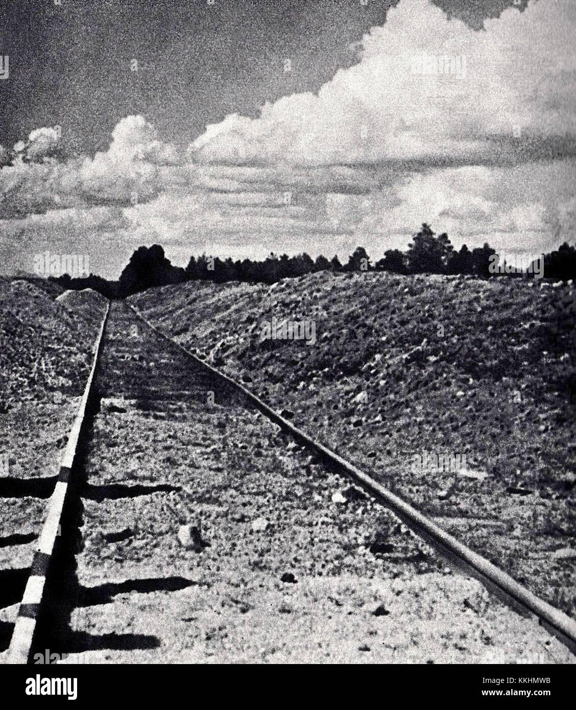 The railway line to Treblinka was a key transport route during World ...