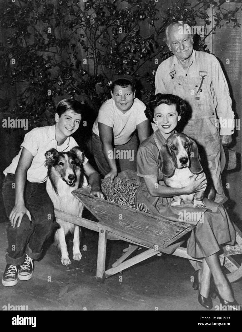 This image shows the cast of the iconic TV show Lassie, taken around ...