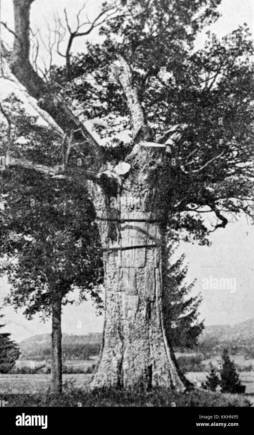 Gorunul lui Horea 1936 Stock Photo - Alamy