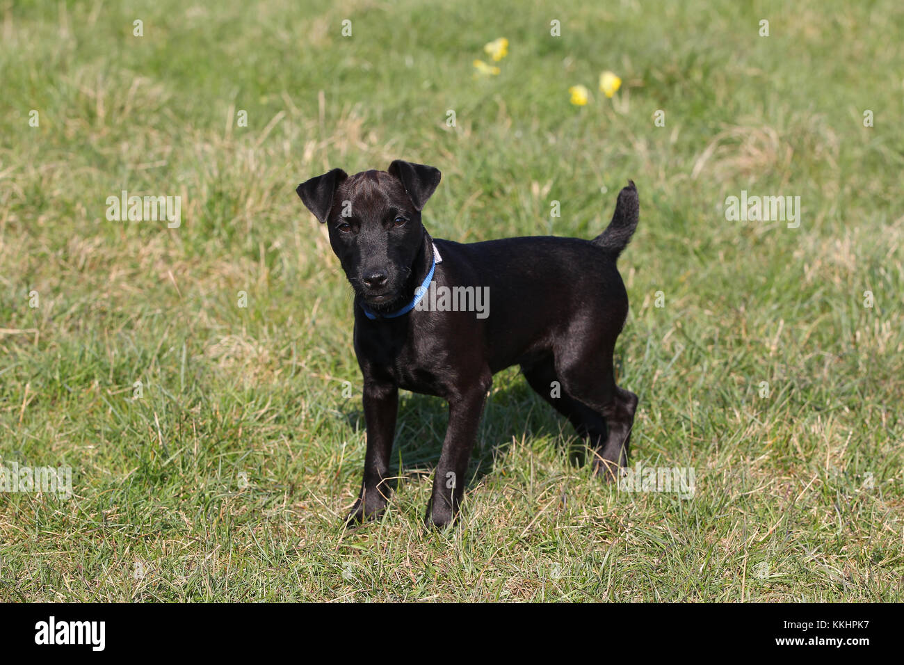 Black Fell High Resolution Stock Photography and Images - Alamy