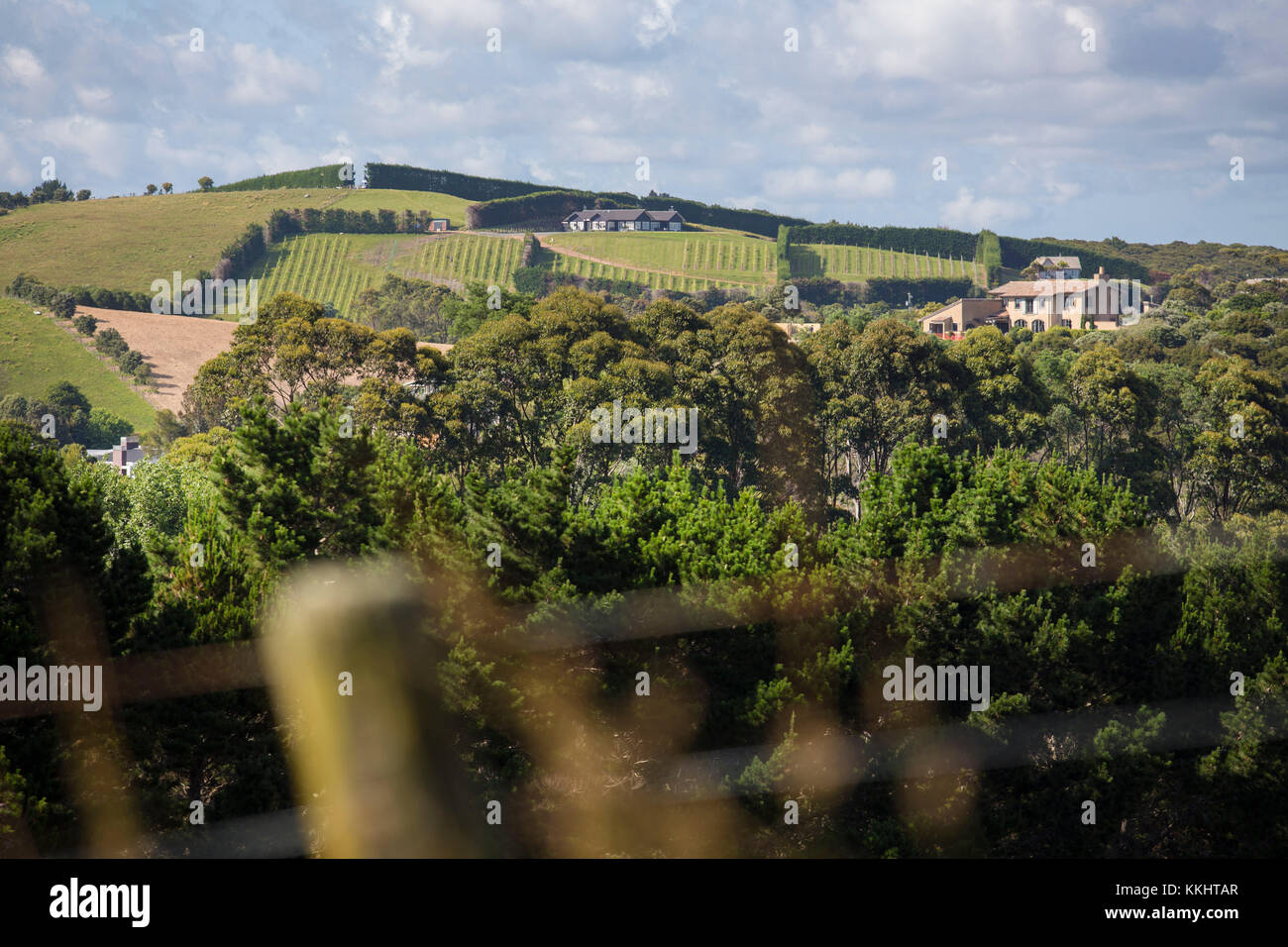 Waiheke Island Auckland New Zealand Pictures Neville Marriner Stock ...
