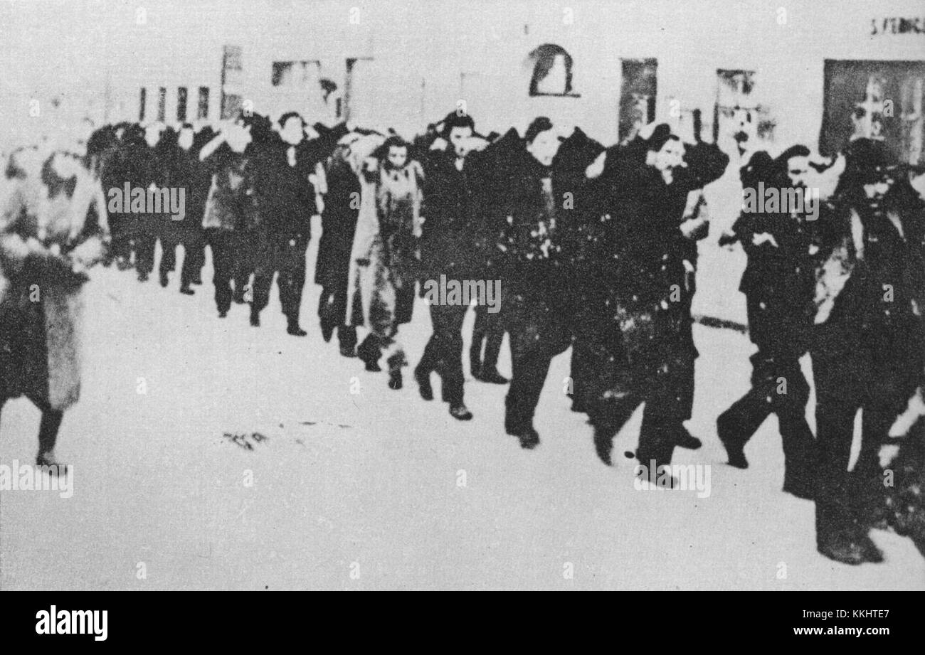 This photograph from Bydgoszcz in 1939 captures the arrest of Polish ...