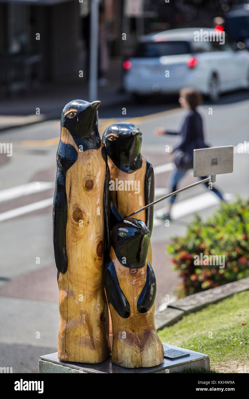 Waiheke Island Auckland New Zealand Pictures Neville Marriner Stock ...