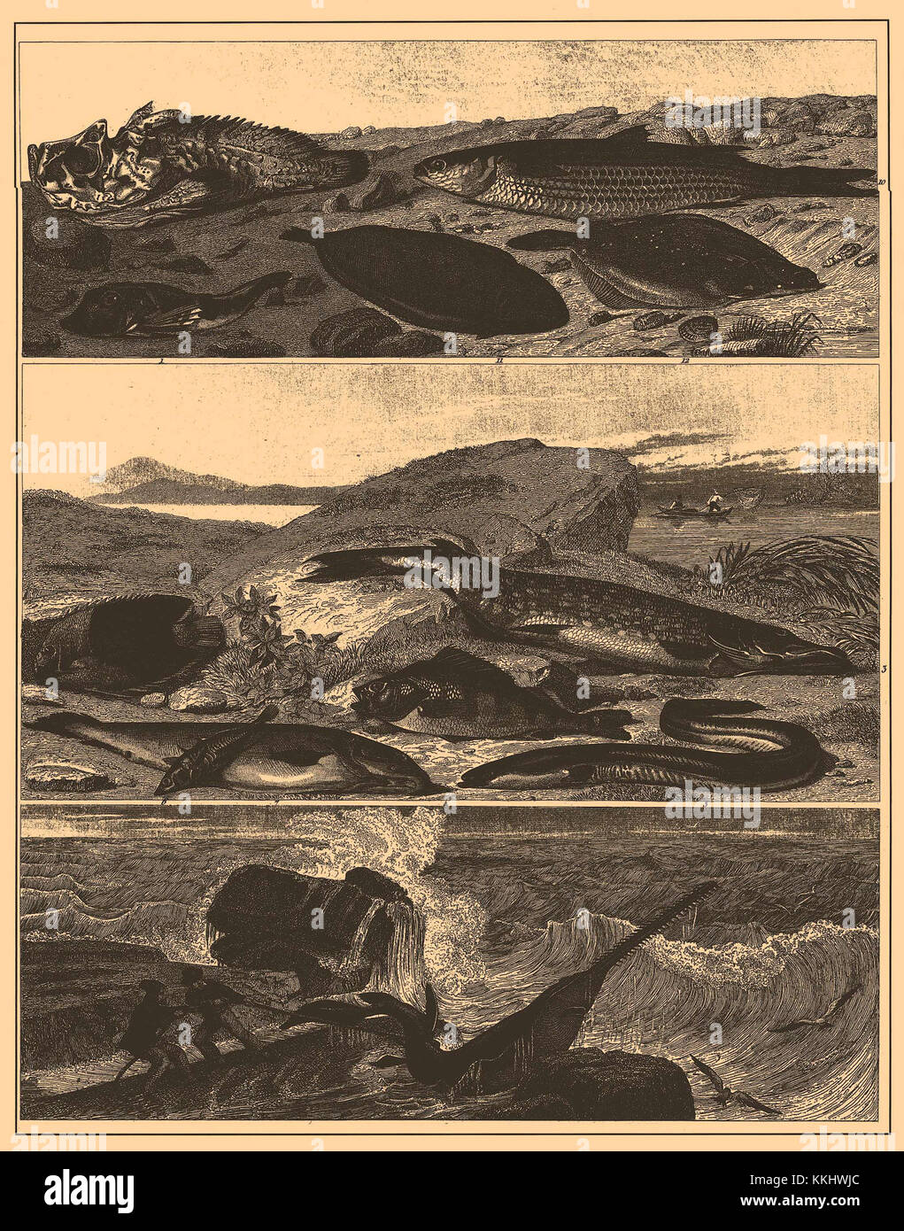 Comprehensive visual reference hi-res stock photography and images - Alamy