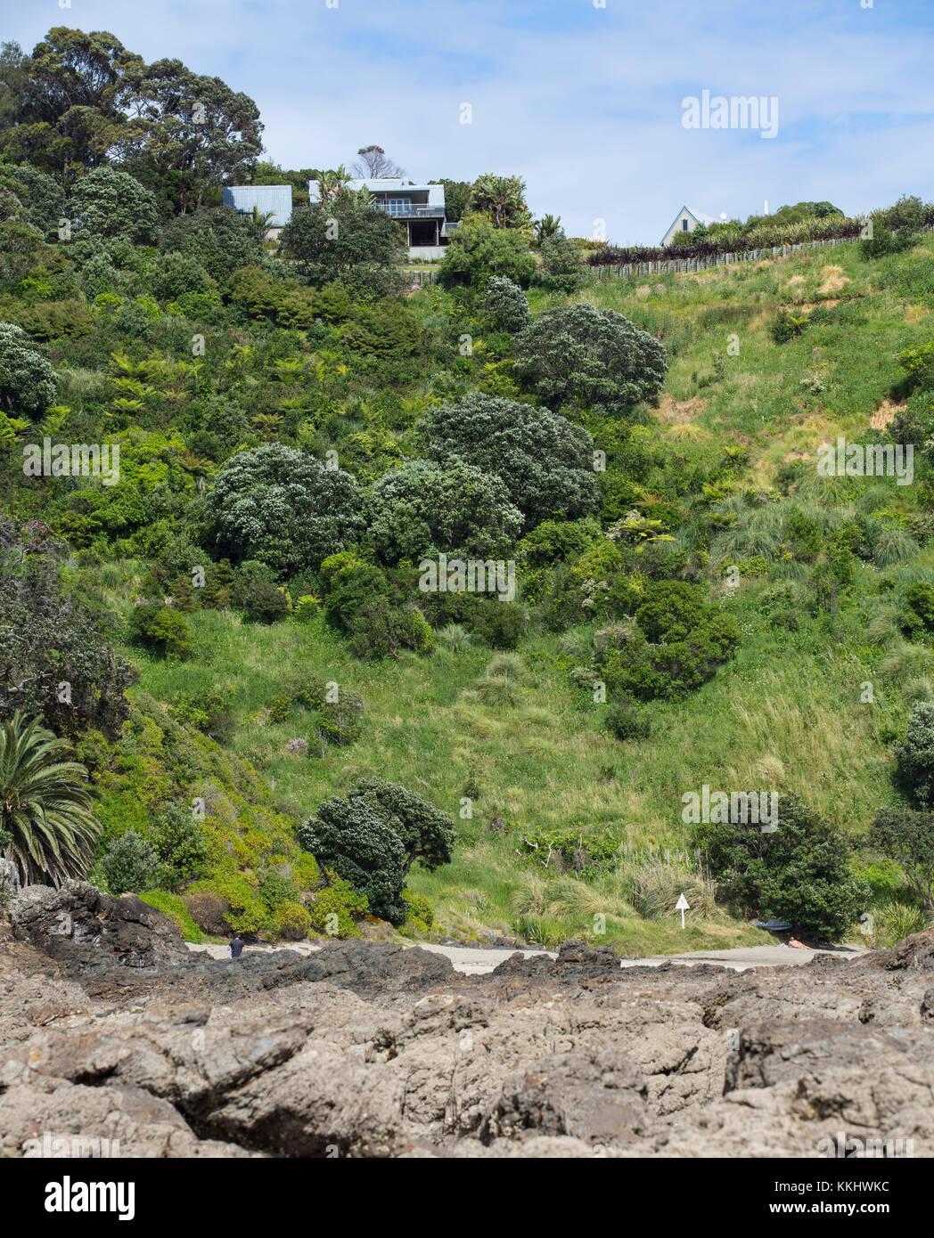 Waiheke Island Auckland New Zealand Pictures Neville Marriner Stock ...