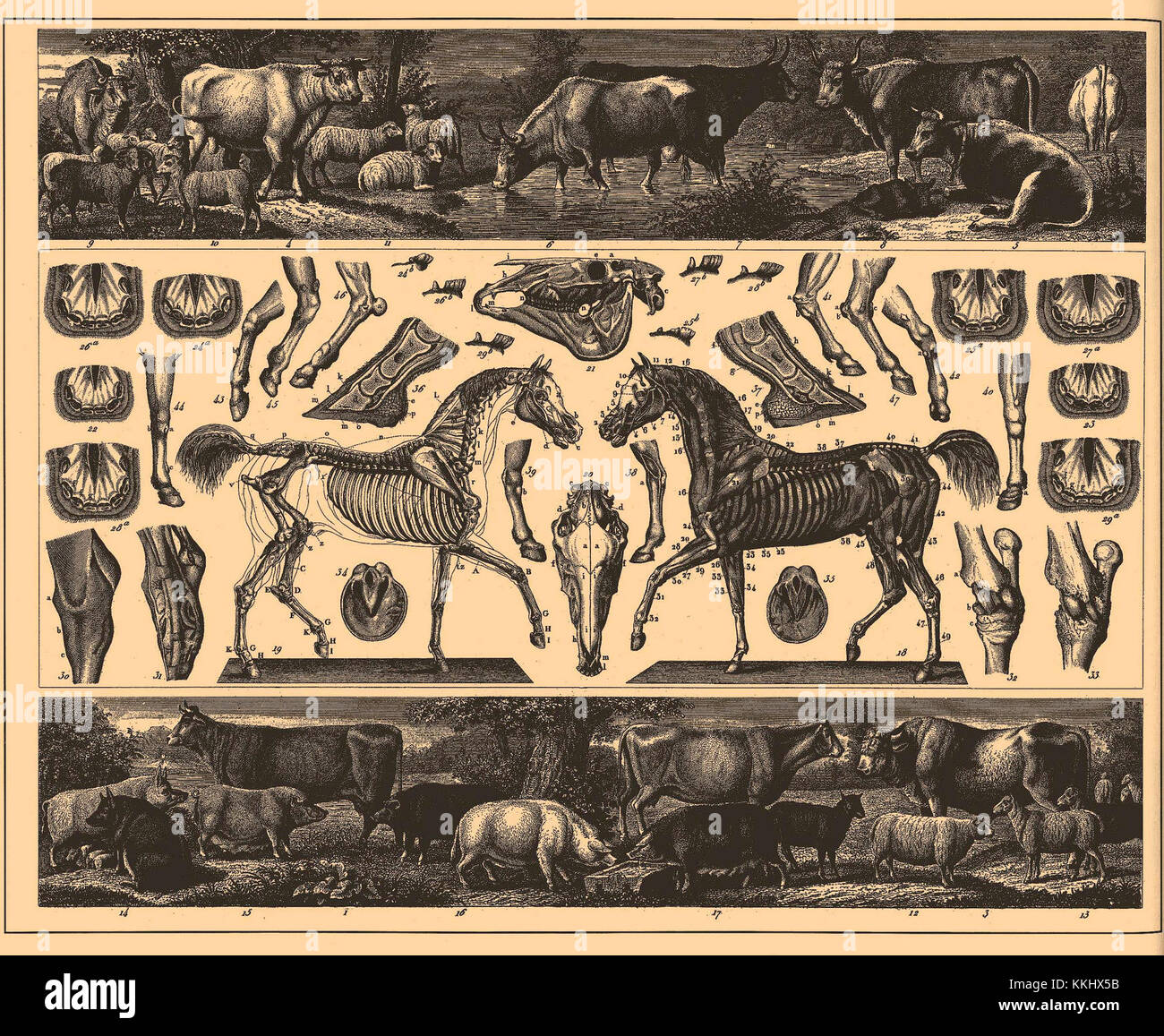 Comprehensive representation illustrates hi-res stock photography and ...