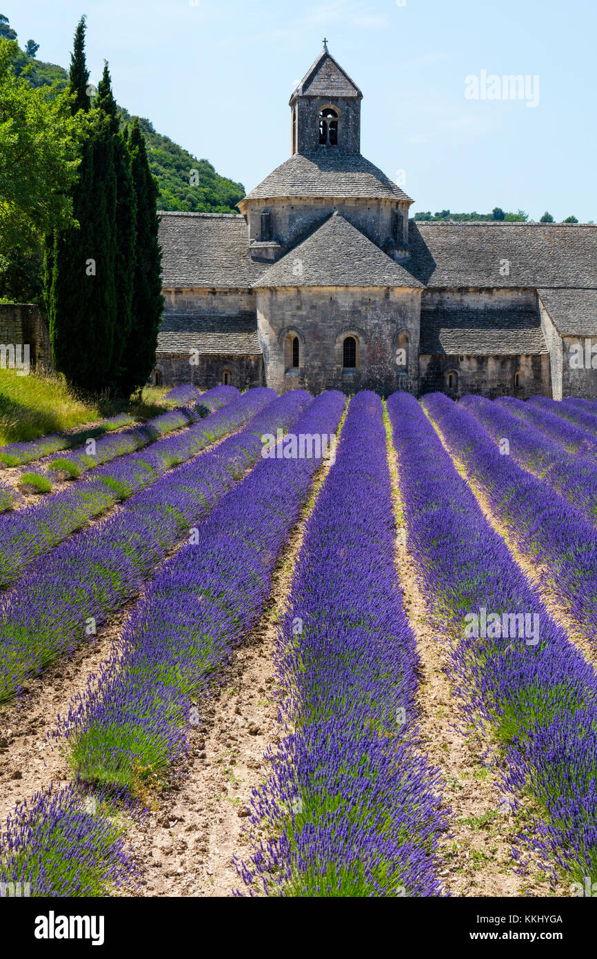 Senanque Abbey, The Abbaye de Senanque, Cistercian Architecture, Gordes ...
