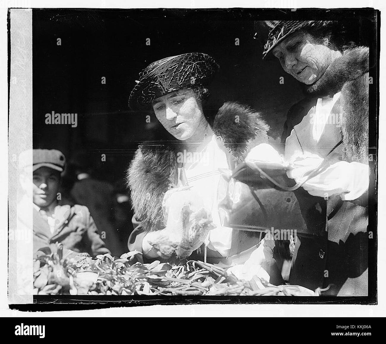 This image shows Mrs. Cary Grayson, potentially a notable individual ...