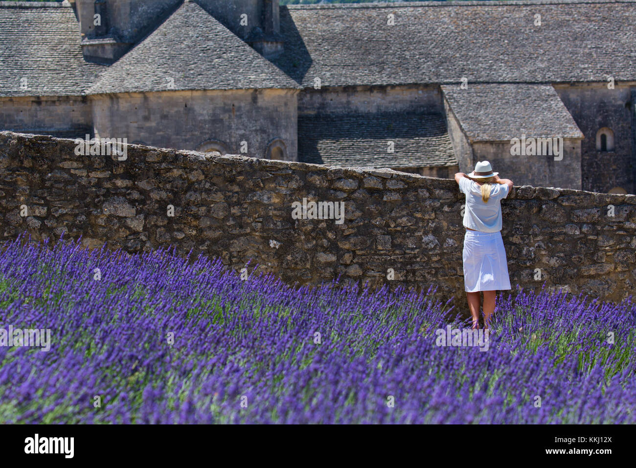 Senanque Abbey, The Abbaye de Senanque, Cistercian Architecture, Gordes ...