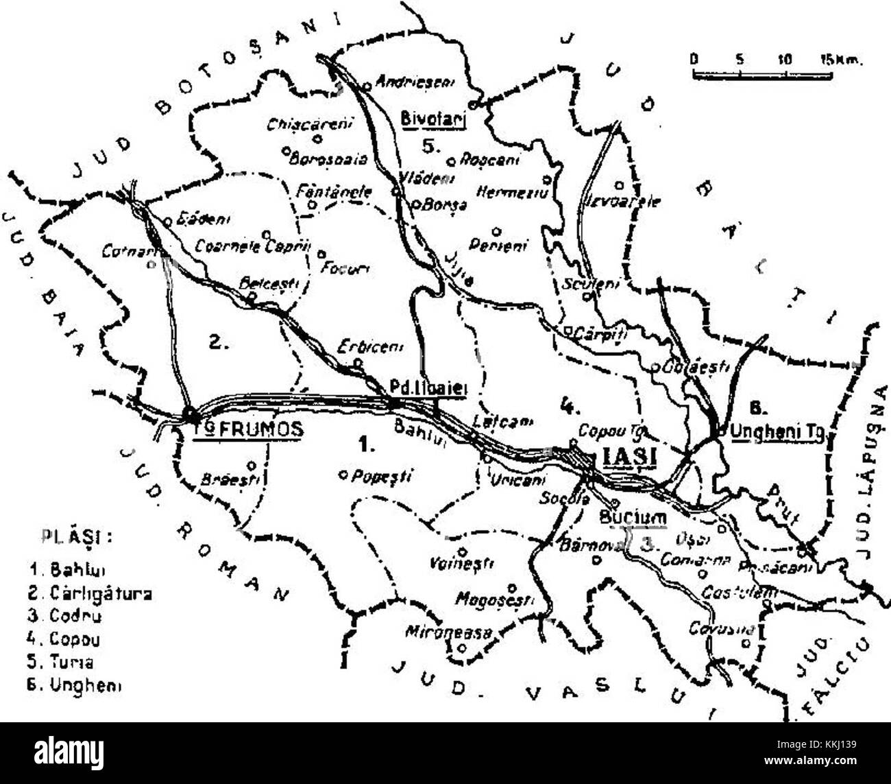 This 1938 map of Iasi, Romania, showcases the layout and significant ...