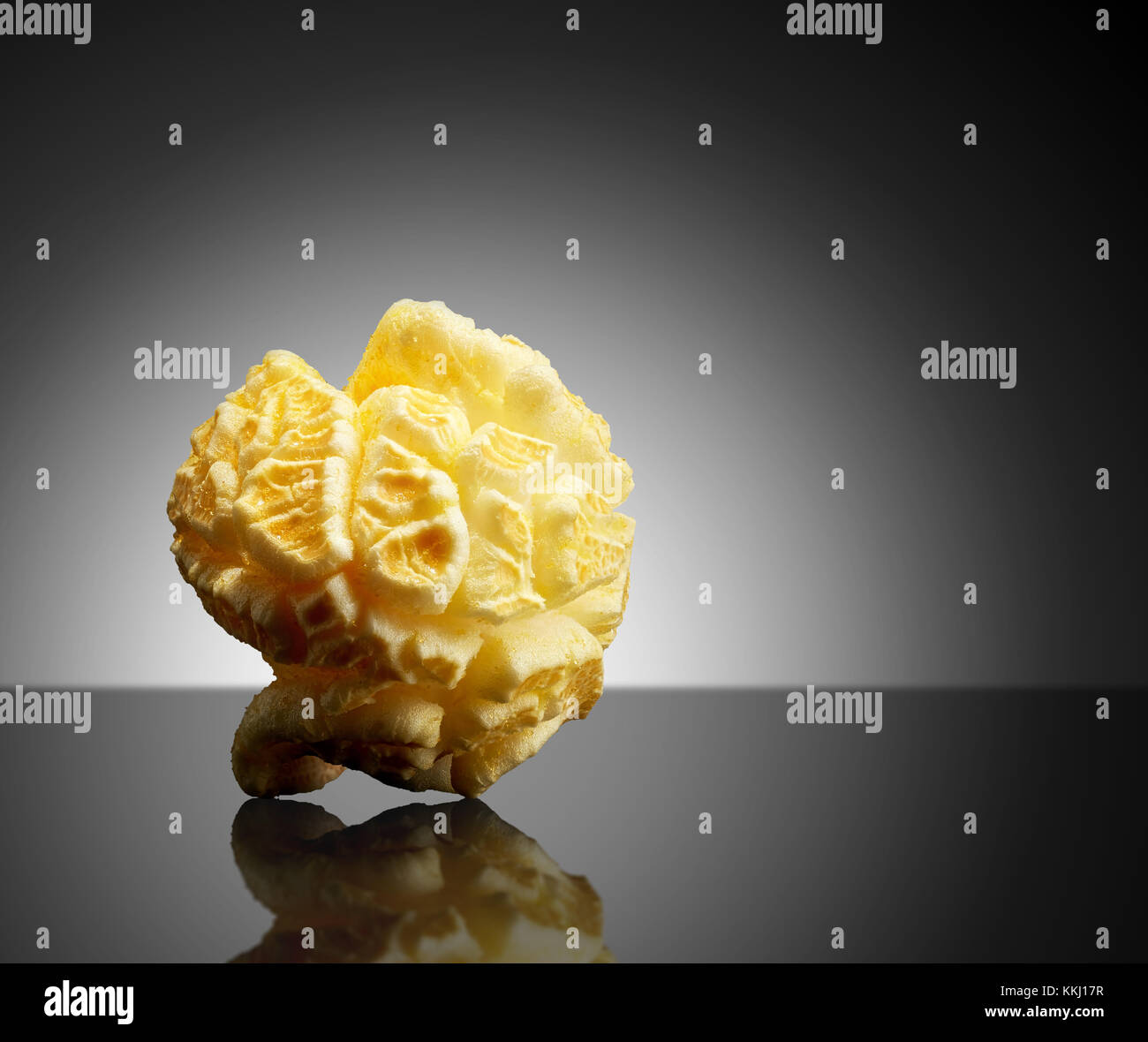 Single popped popcorn on a black background with reflection. Close-up ...