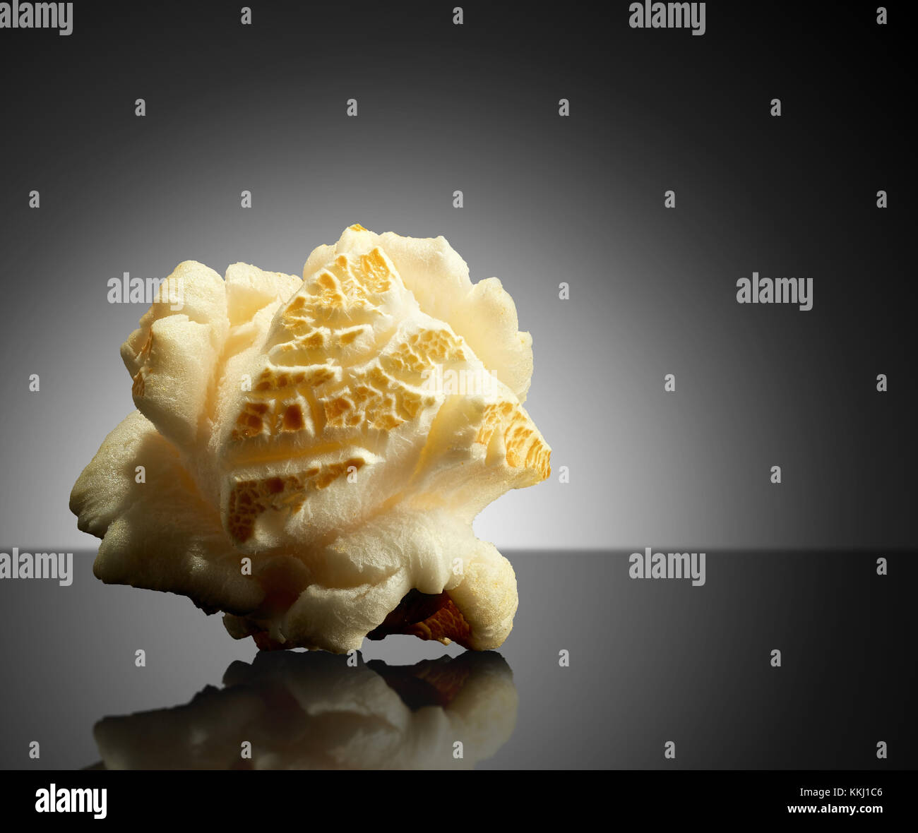 Single popped popcorn on a black background with reflection. Close-up ...