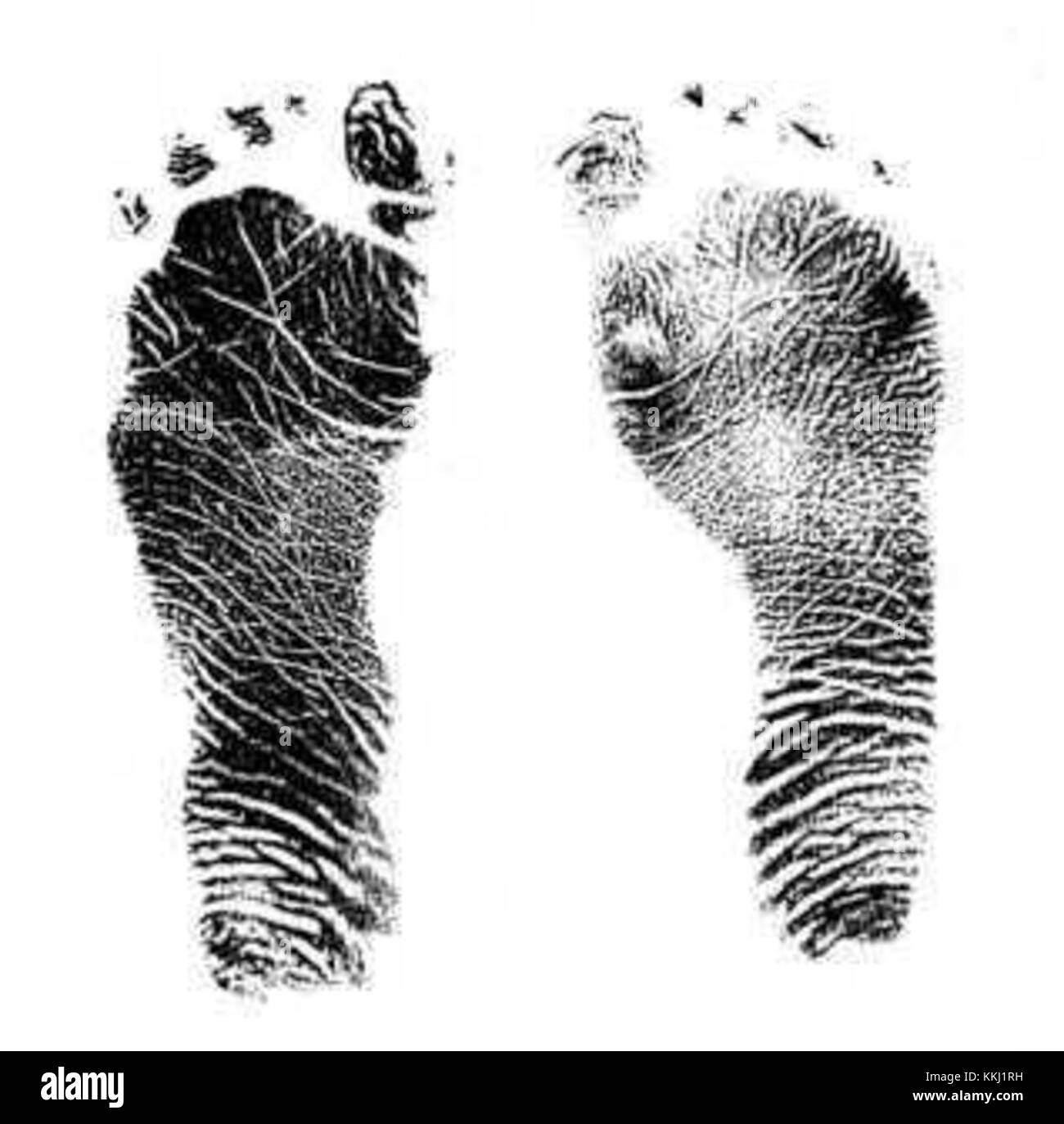 Box at her feet Black and White Stock Photos & Images - Alamy