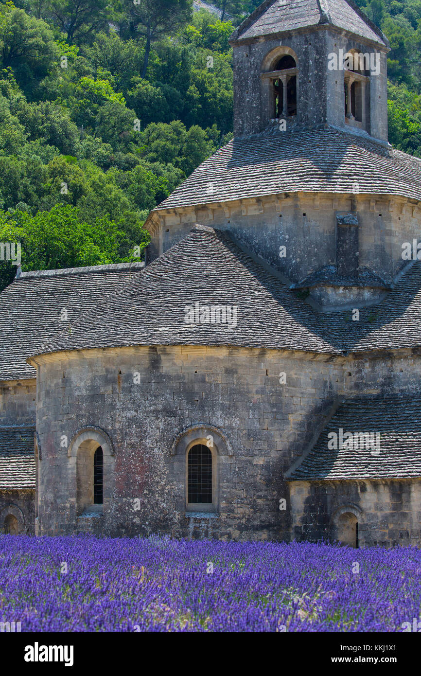 Senanque Abbey, The Abbaye de Senanque, Cistercian Architecture, Gordes ...