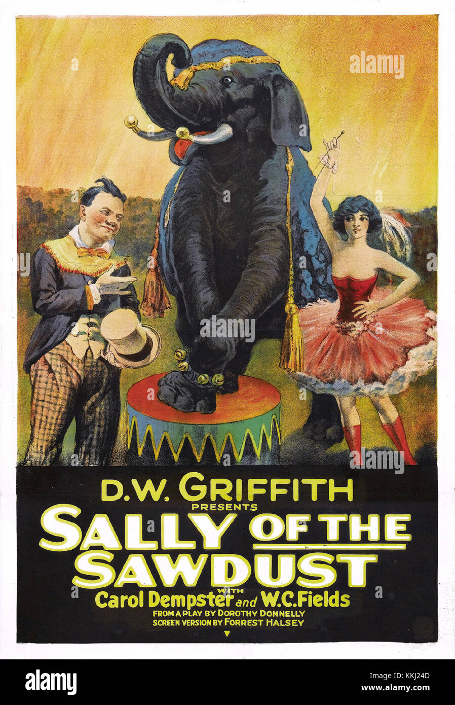 Sally of the Sawdust is a 1925 silent comedy film, starring W.C. Fields ...