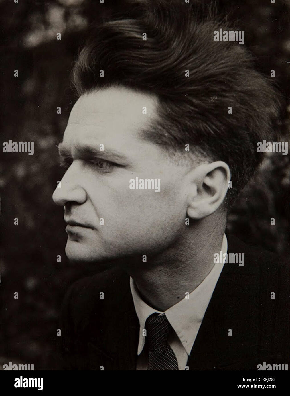 Emil Cioran, a renowned Romanian philosopher and essayist, made ...