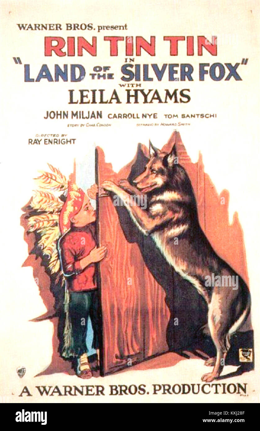 The 'Land of the Silver Fox' poster promotes a historical film ...