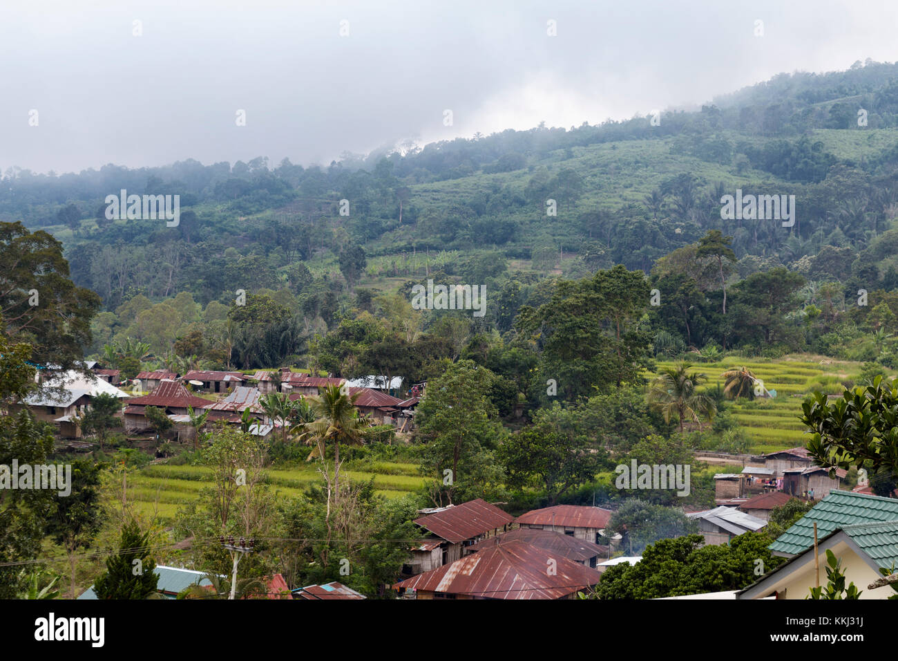 View of ricefields and houses in the small village of Moni near ...