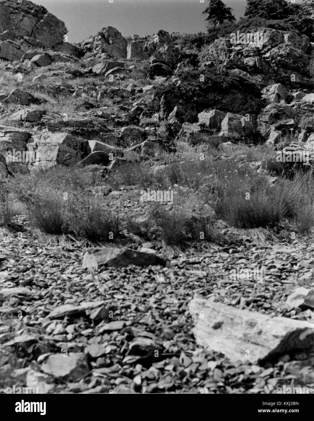 Aerial photograph of Harvey Mountain Quarry 6 in Boundary County, Idaho ...