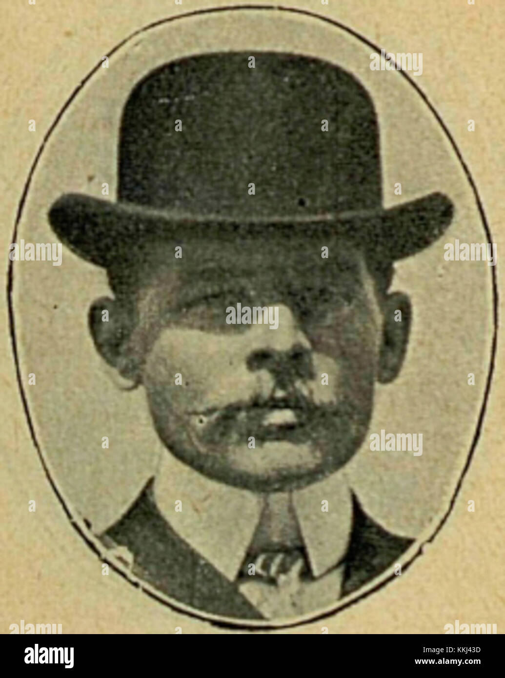 Grig hi-res stock photography and images - Alamy