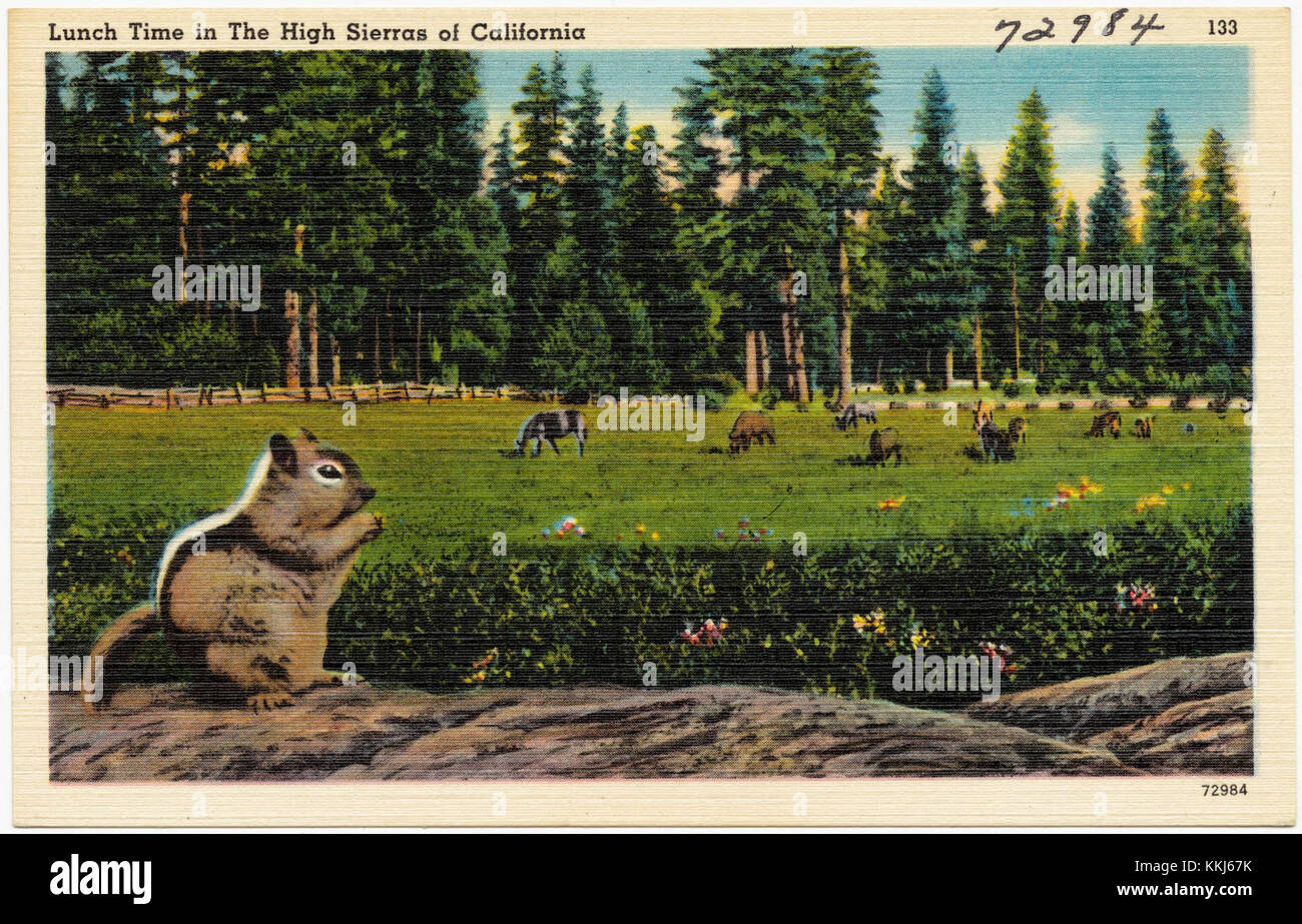 This image captures a moment during lunch time in the High Sierras of ...