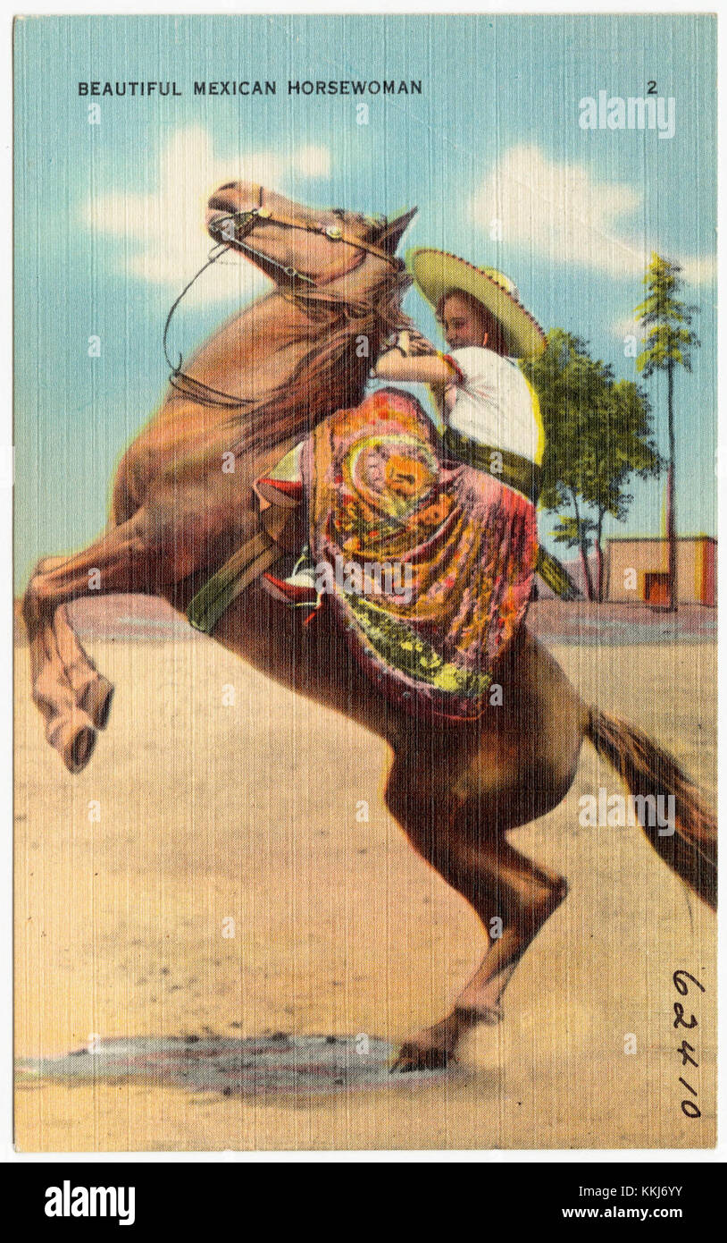 This image features a beautiful Mexican horsewoman, likely a depiction ...