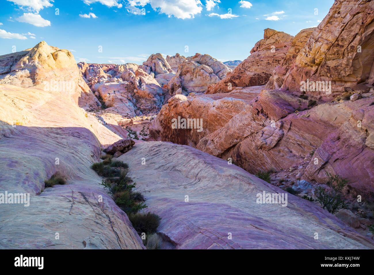 White Domes against deep blue sky in Valley of Fire State Park, Nevada ...