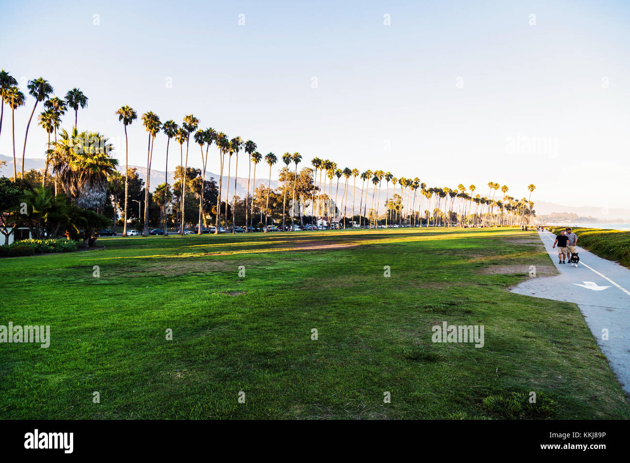 Waterfront promenade with palm trees in rows at sunset, Santa Barbara ...