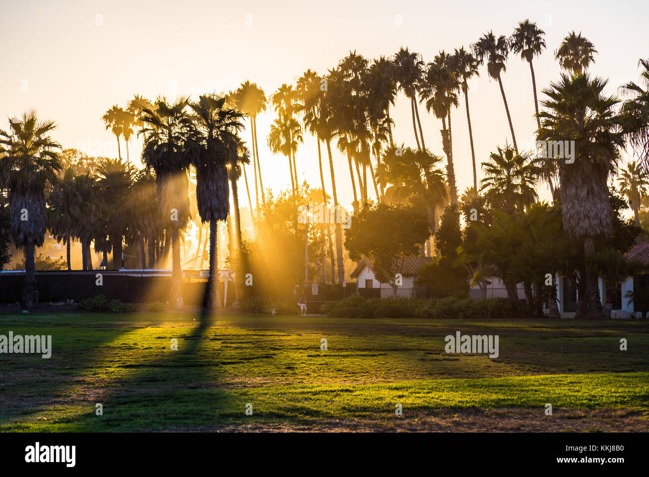 Silhouettes of palm trees at sunset, Santa Barbara beach, Southern ...