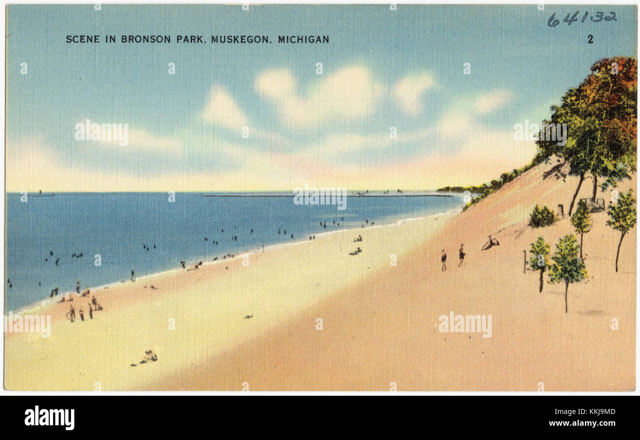 Bronson park hi-res stock photography and images - Alamy