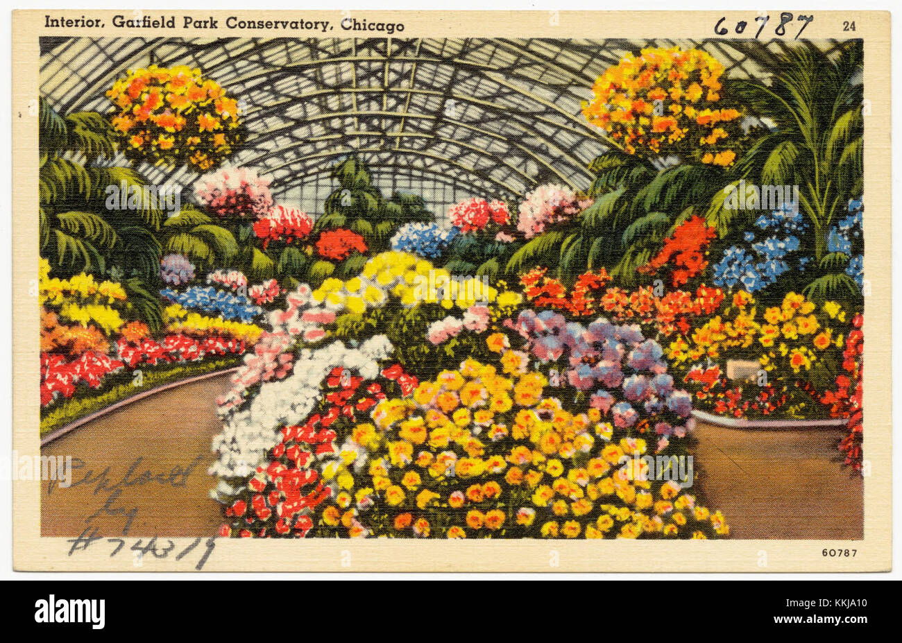 Garfield Park Conservatory Chicago High Resolution Stock Photography ...