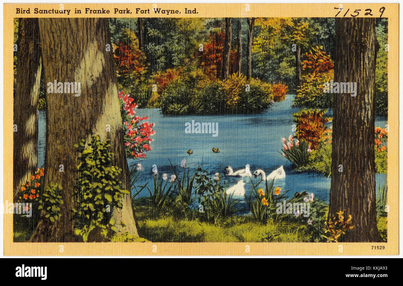 Bird Sanctuary in Franke Park, Fort Wayne, Ind (71529 Stock Photo - Alamy