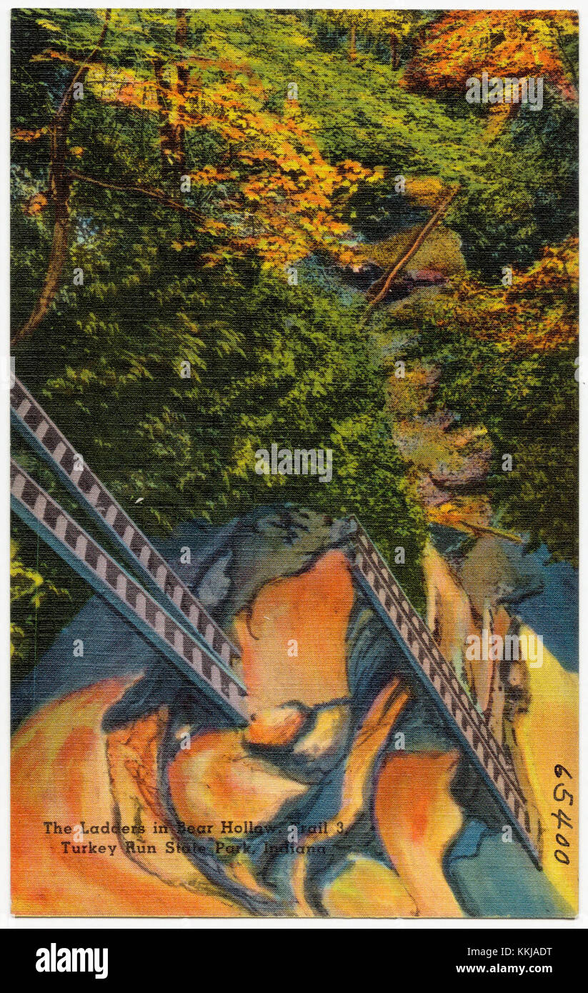 The image depicts the ladders along Bear Hollow on Trail 3 in Turkey ...