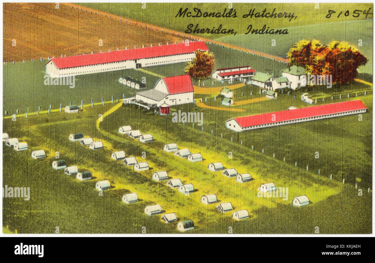 McDonald's Hatchery in Sheridan, Indiana, is a well-known site for fish ...