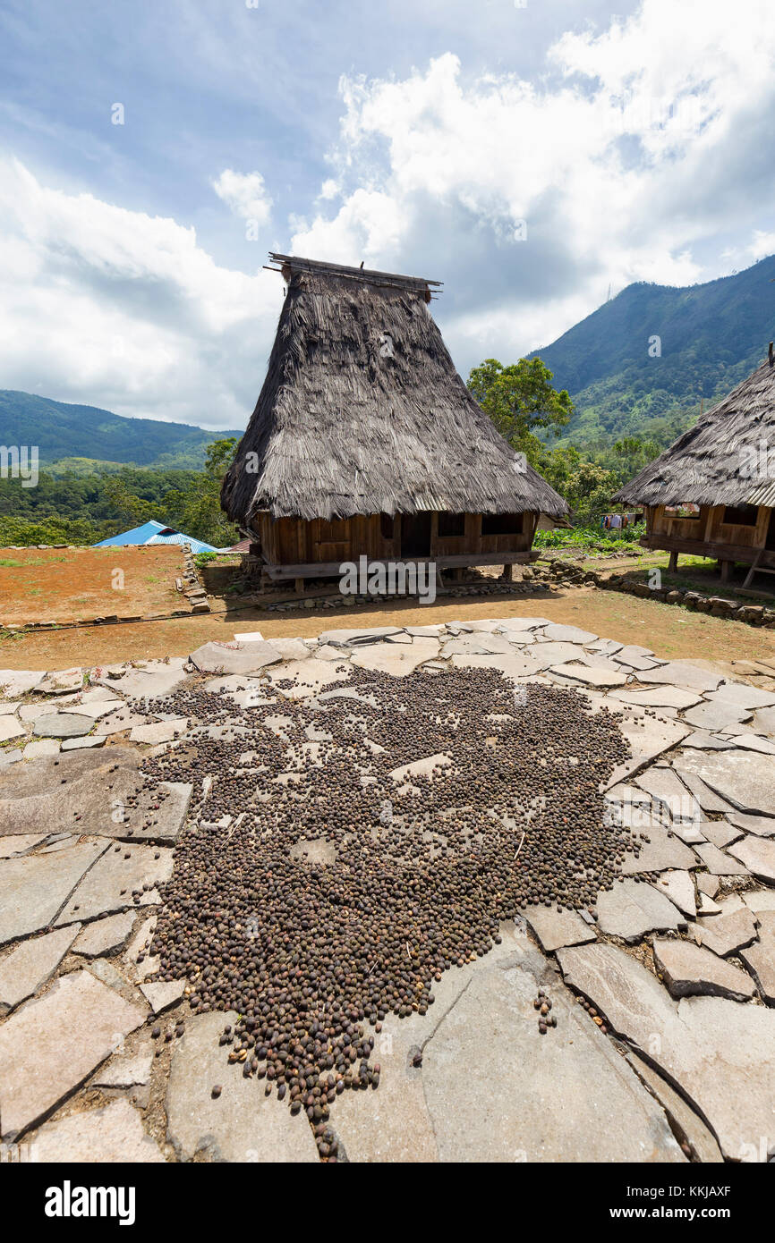 Coffee drying on large stone slabs in the middle of traditional houses ...