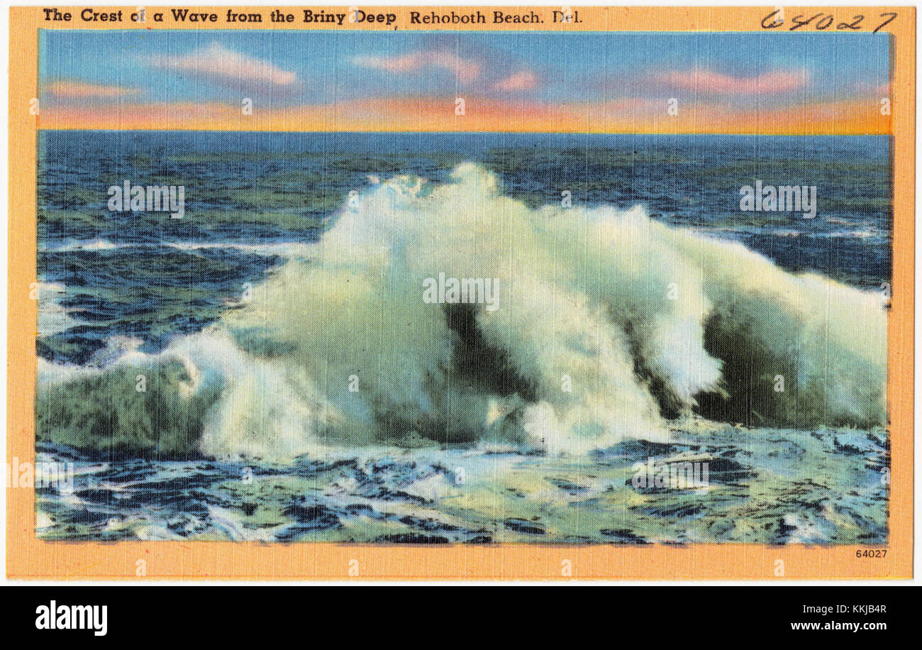 This image captures the cresting wave at Rehoboth Beach, Delaware ...