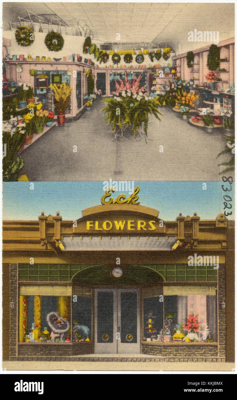 Eck Flowers (83023 Stock Photo - Alamy