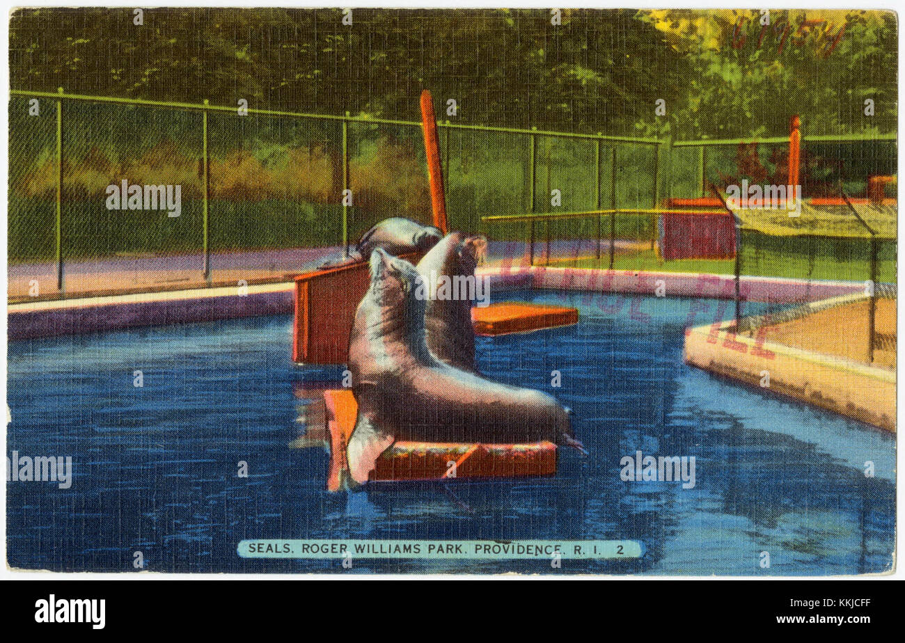 A photograph of seals at Roger Williams Park Zoo, located in Providence ...