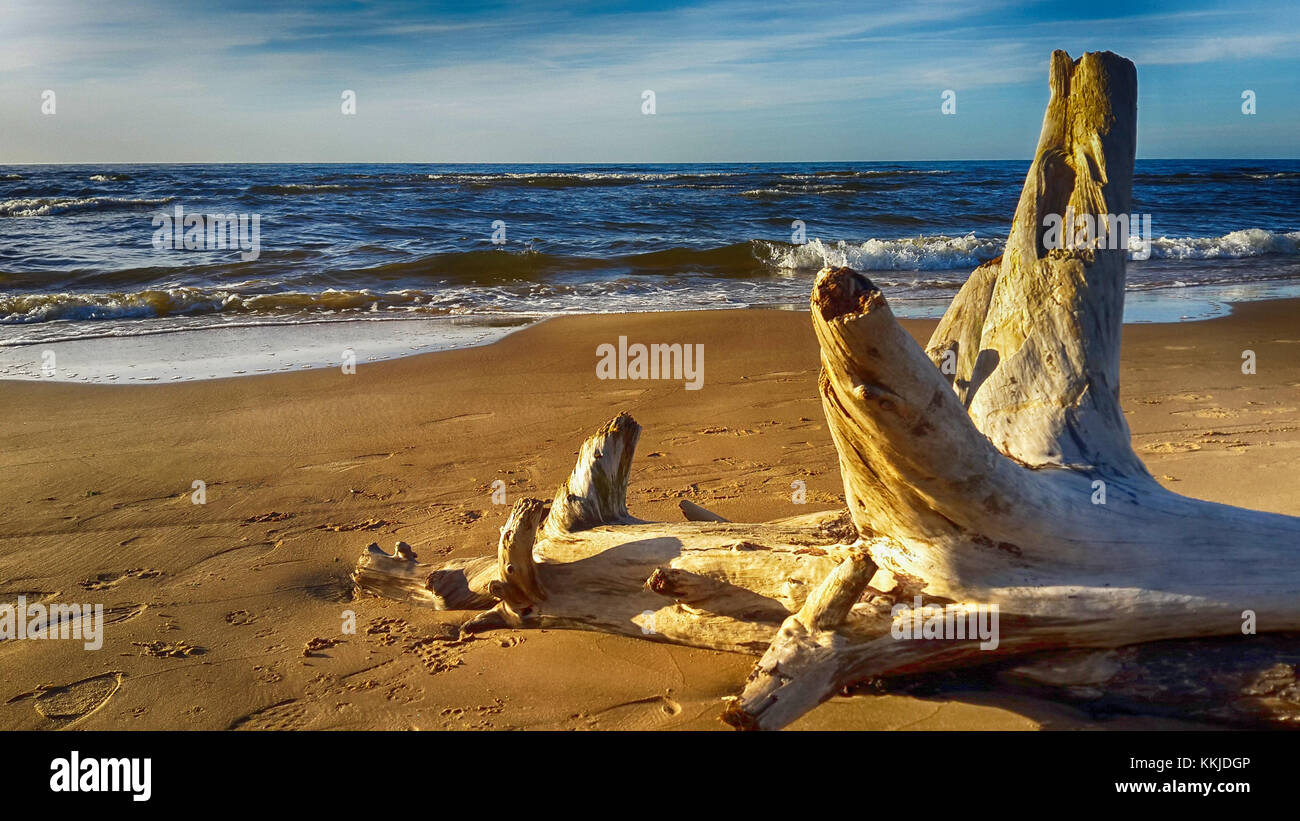 Old wood on a sea beach day Stock Photo - Alamy