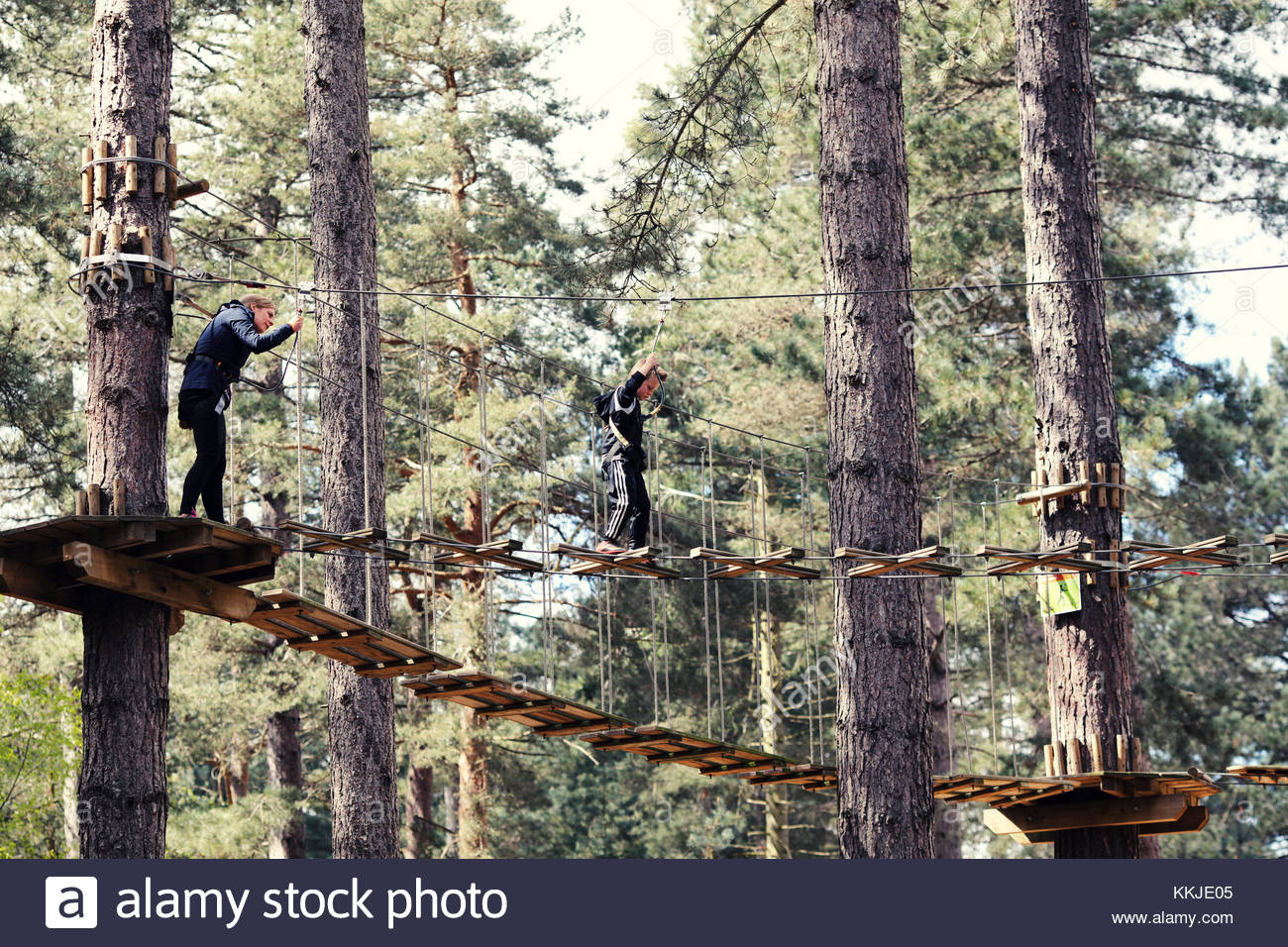 High Ropes Course Stock Photos & High Ropes Course Stock Images - Alamy